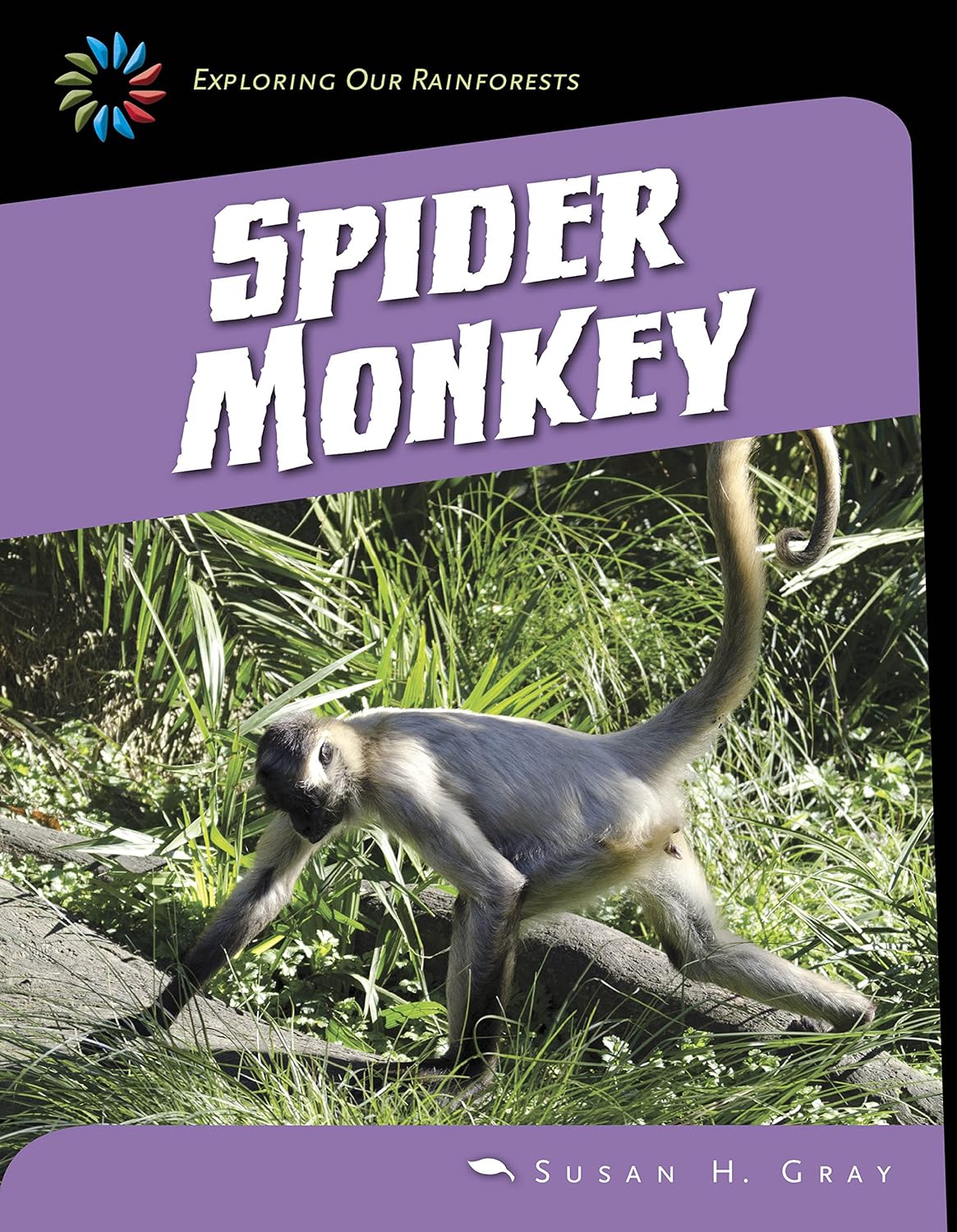 Spider Monkey (21st Century Skills Library: Exploring Our Rainforests ...