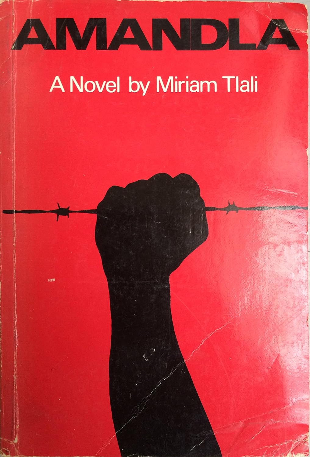 Buy Amandla Book Online at Low Prices in India | Amandla Reviews ...