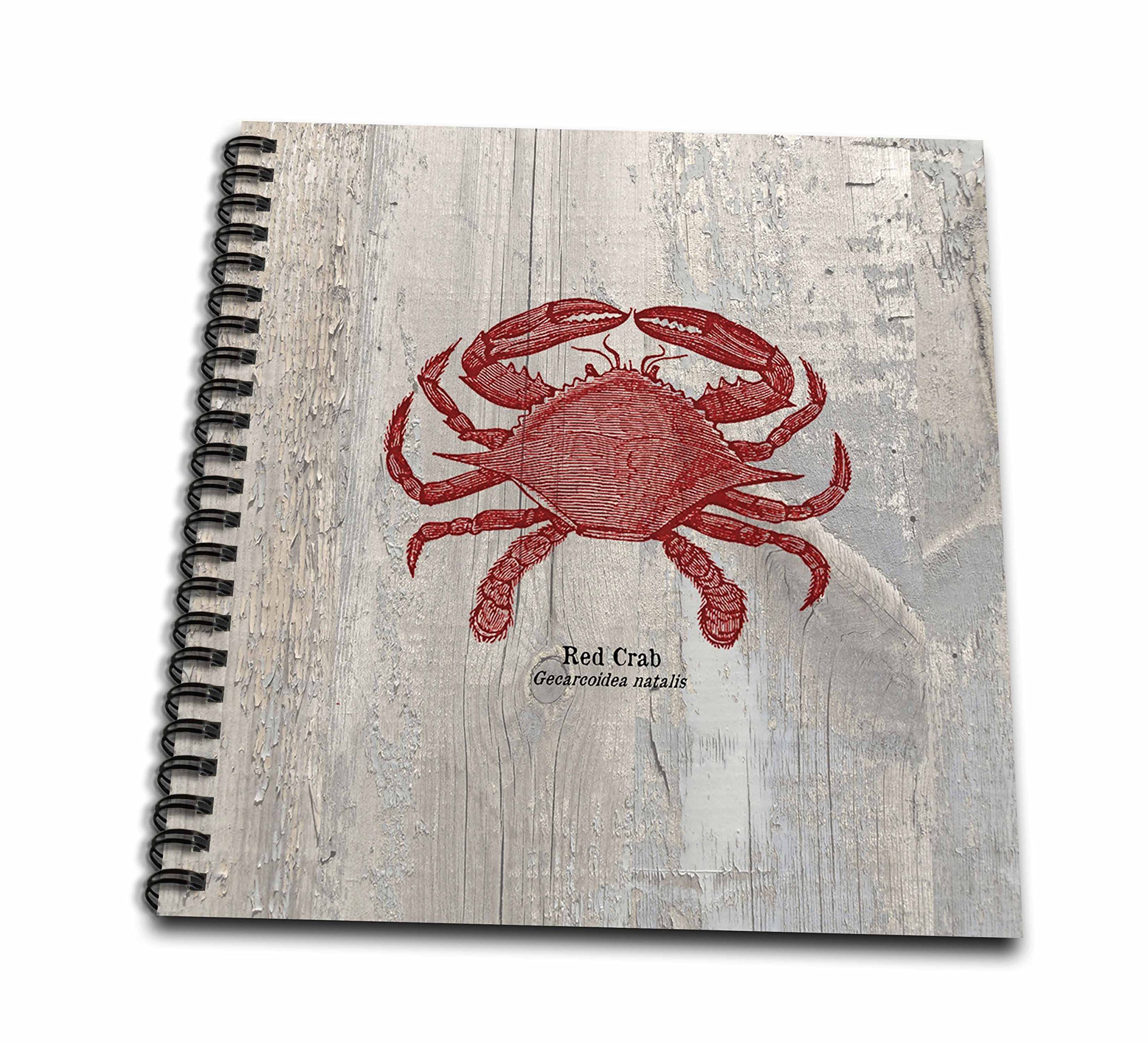 Red Crab Drawing