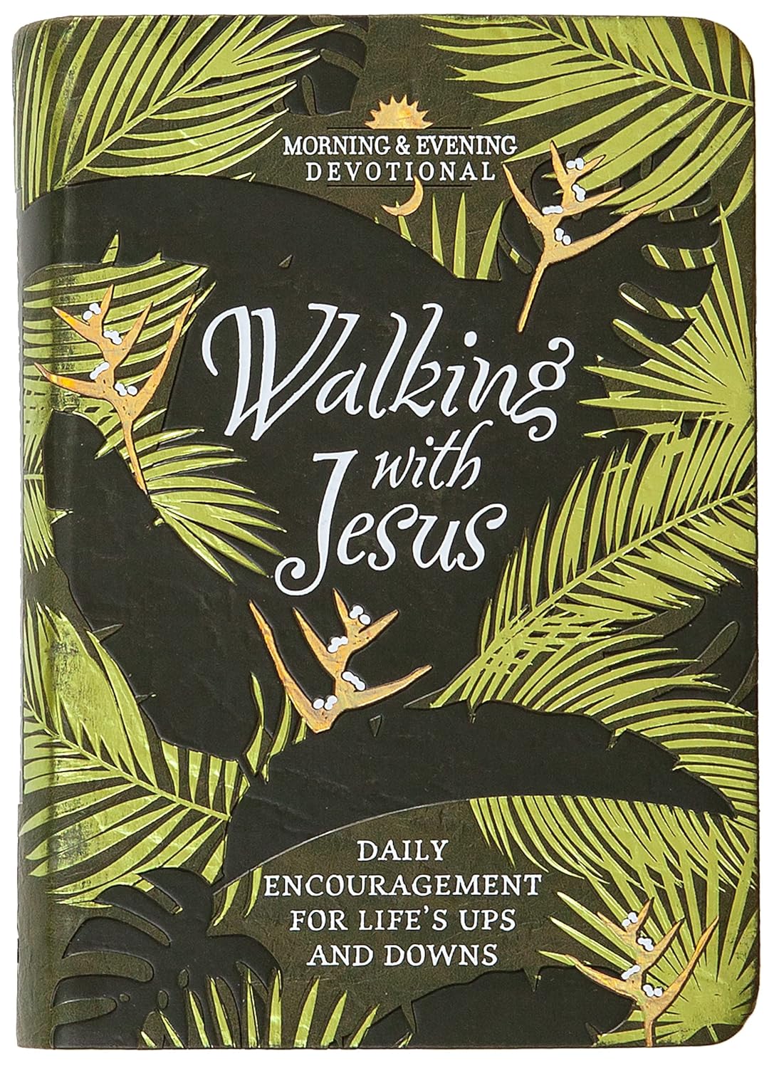 Walking with Jesus: Daily Encouragement for Life’s Ups and Downs ...