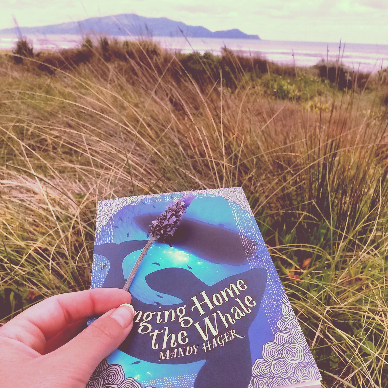 Amazon.com: Mandy Hager: books, biography, latest update