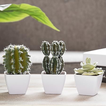 Amazon.com: MyGift Set of 4 Assorted Miniature Artificial Succulent ...