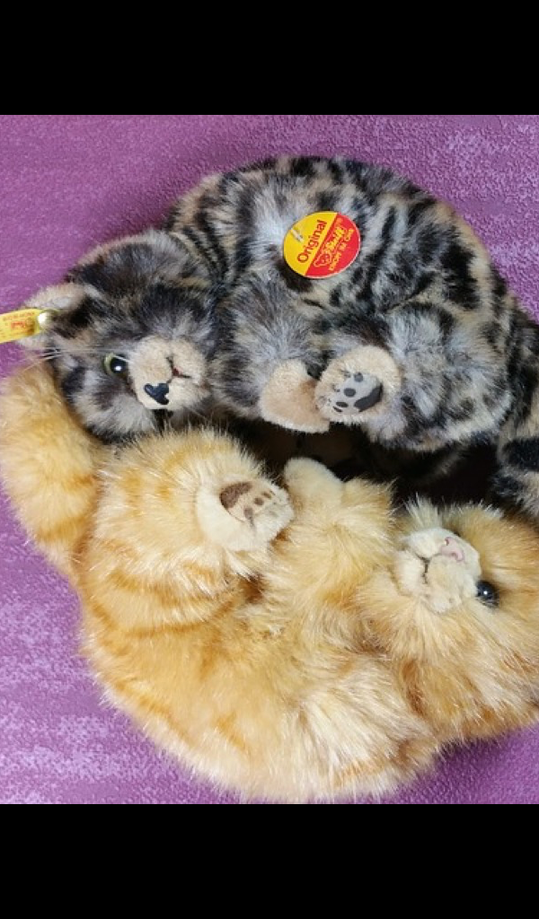 Animals Snuggling Wallpaper -- HD Wallpapers of Animals Snuggling ...