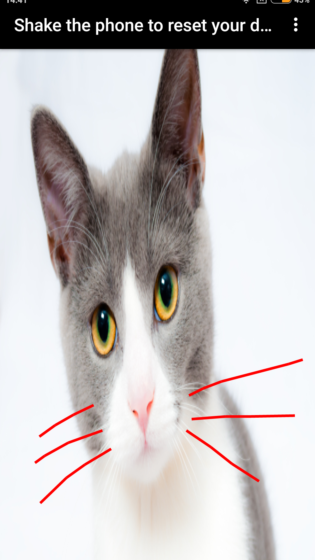 Draw Fun Cat - App on Amazon Appstore