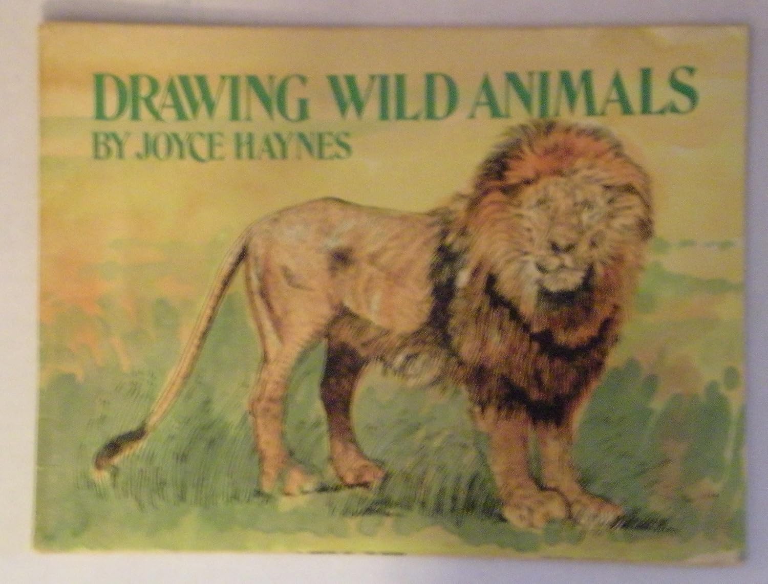 Drawing Wild Animals: Joyce Haynes: Amazon.com: Books