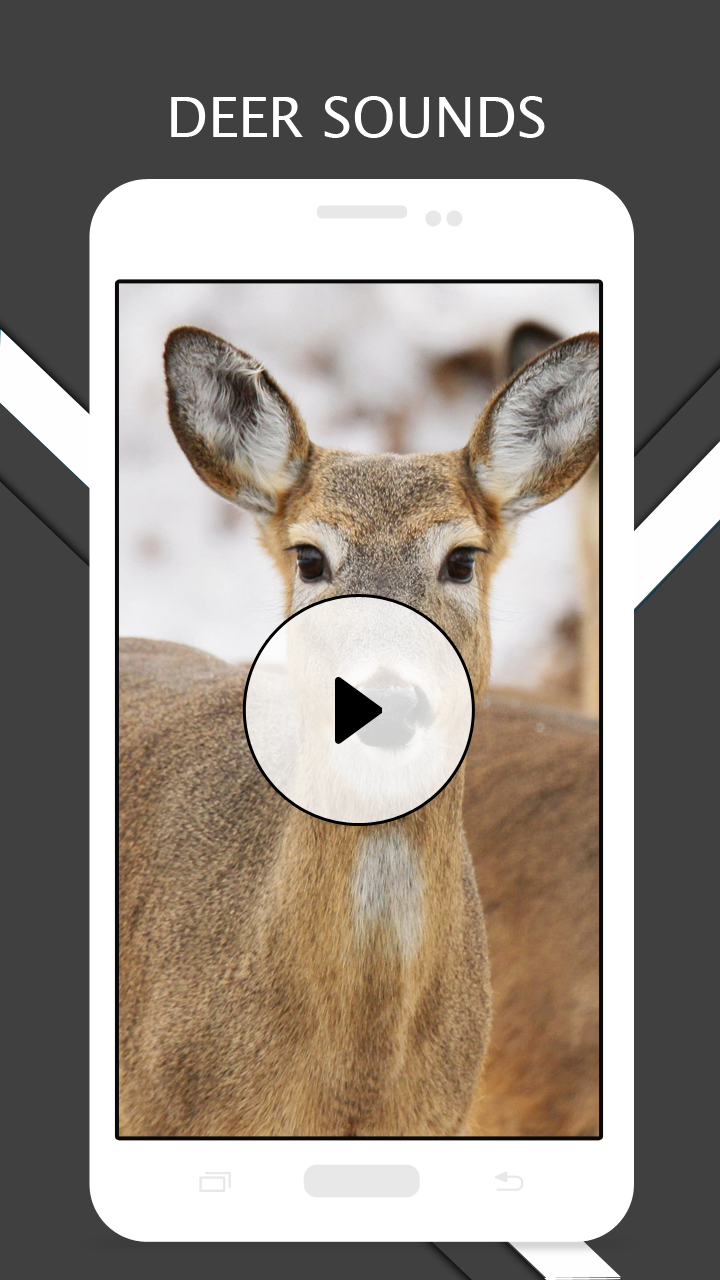 Deer Sounds And Ringtones:Amazon.com:Appstore for Android