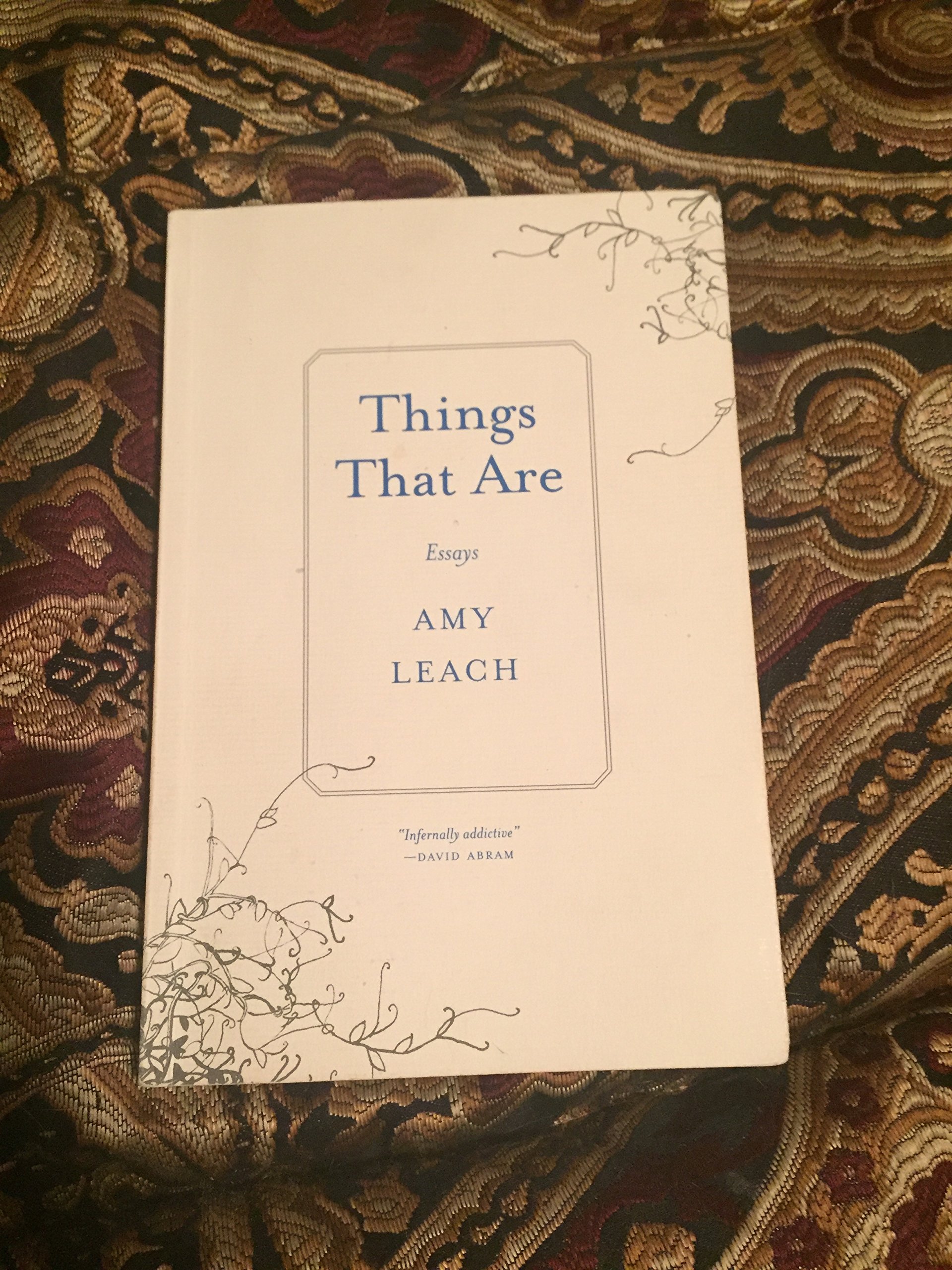 Things That Are: Essays: Leach, Amy: 9781571313515: Amazon.com: Books