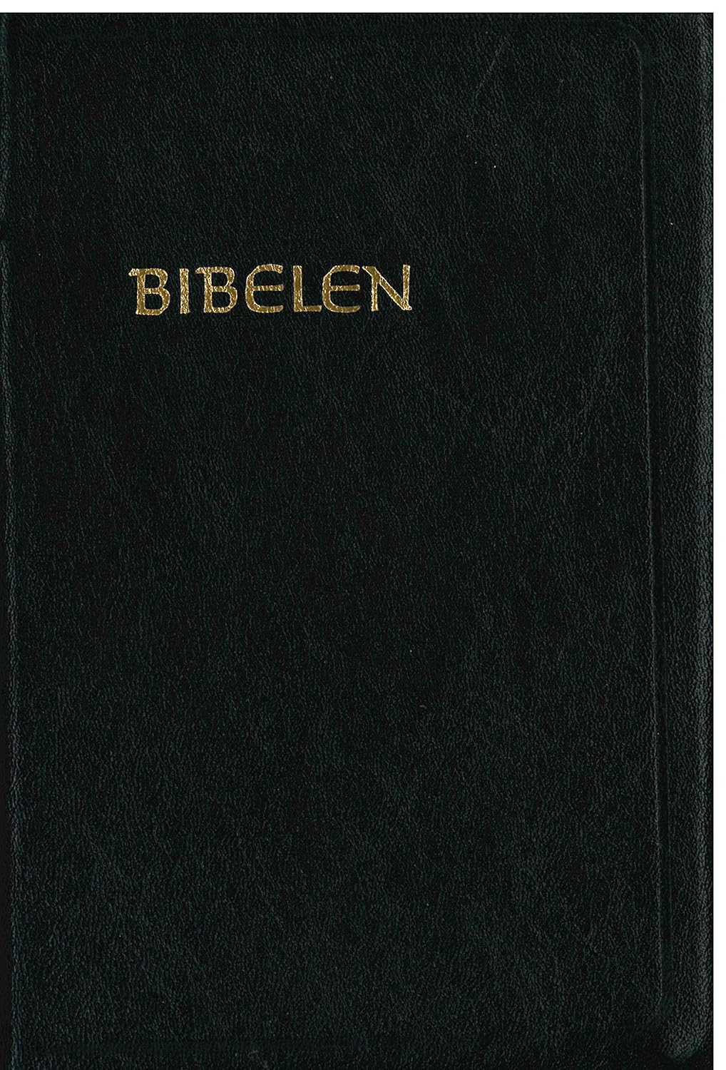 Amazon.com: Norwegian Bible, Genuine Leather, Norsk bibel ekte lær ...