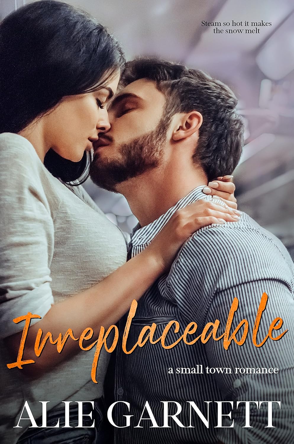 Amazon.com: Irreplaceable: In a Small Town (Landstad Book 7) eBook ...