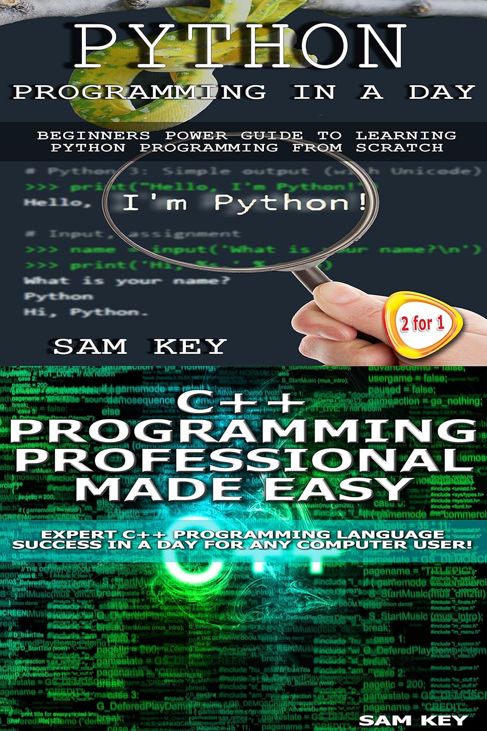 Programming #42:Python Programming In A Day & C++ Programming Professional Made Easy (Python ...