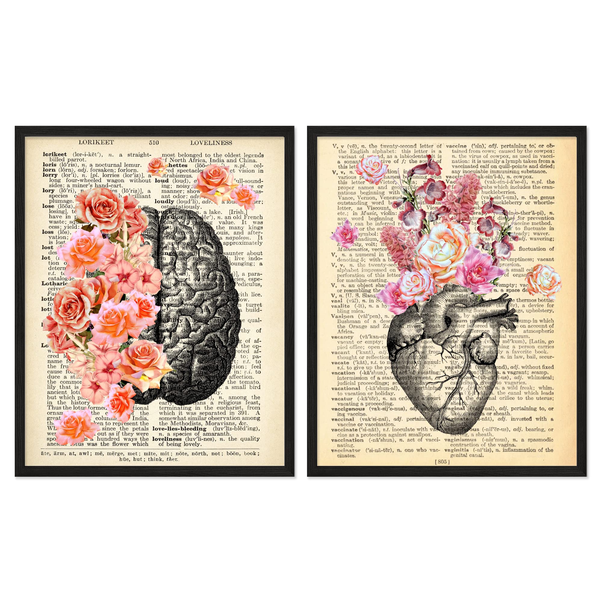 Latin Vintage Human Anatomy Poster