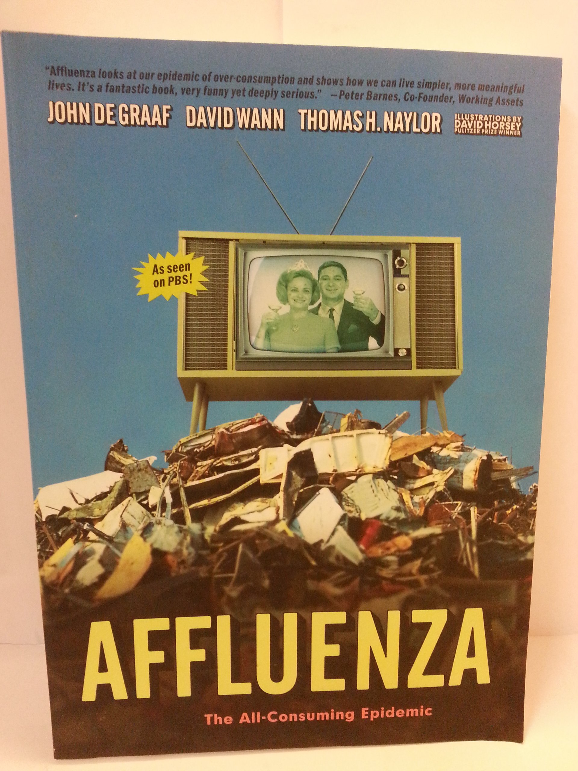 Affluenza: The All-Consuming Epidemic: de Graaf, John, Wann, David ...