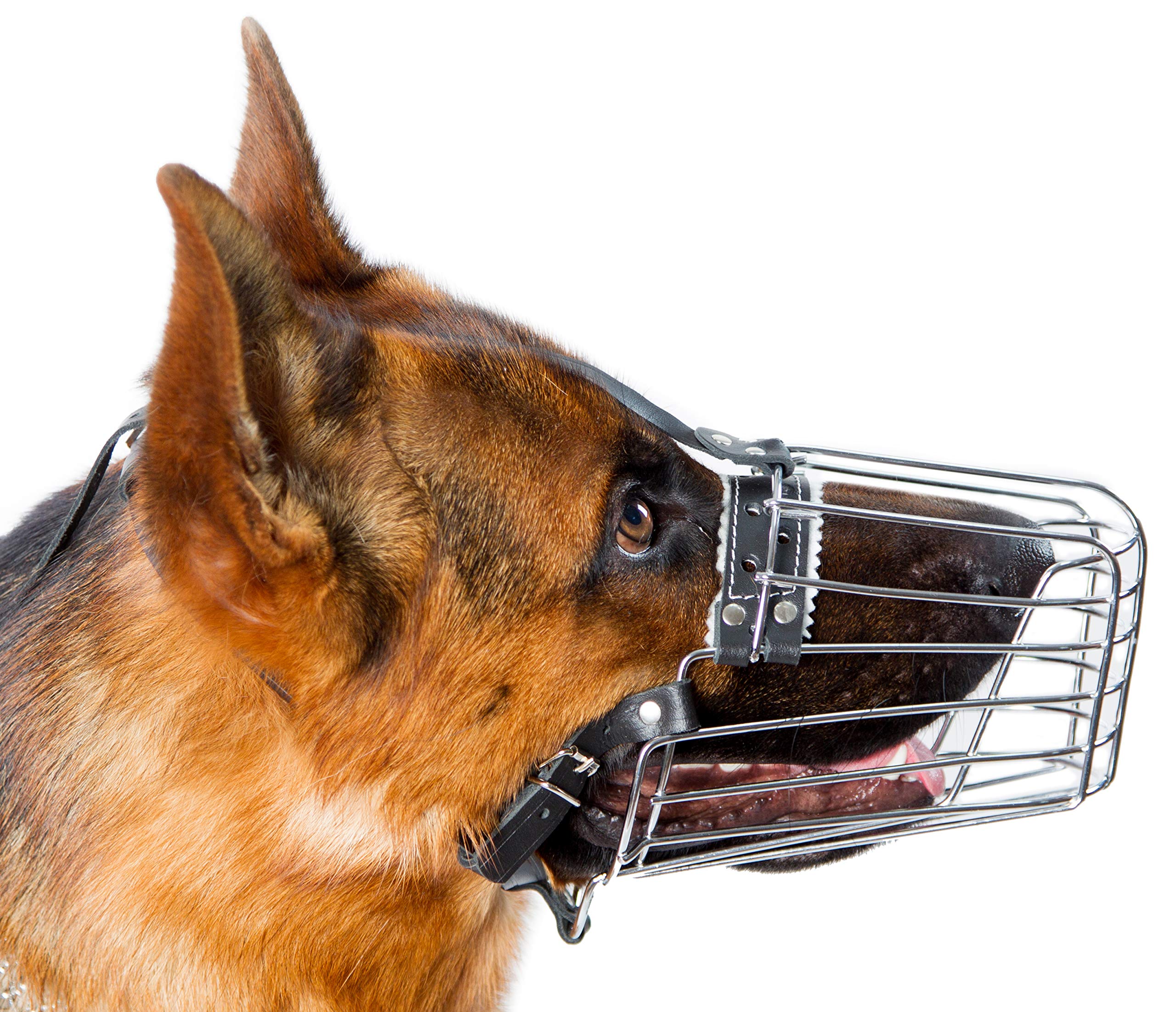 Chrome Metal Dog Wire Basket Muzzle Reinforced Cage - Muzzle for Large ...