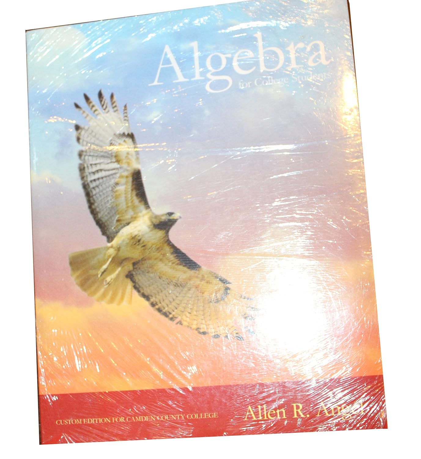 Algebra for College Students (Algebra for College Students Camden ...