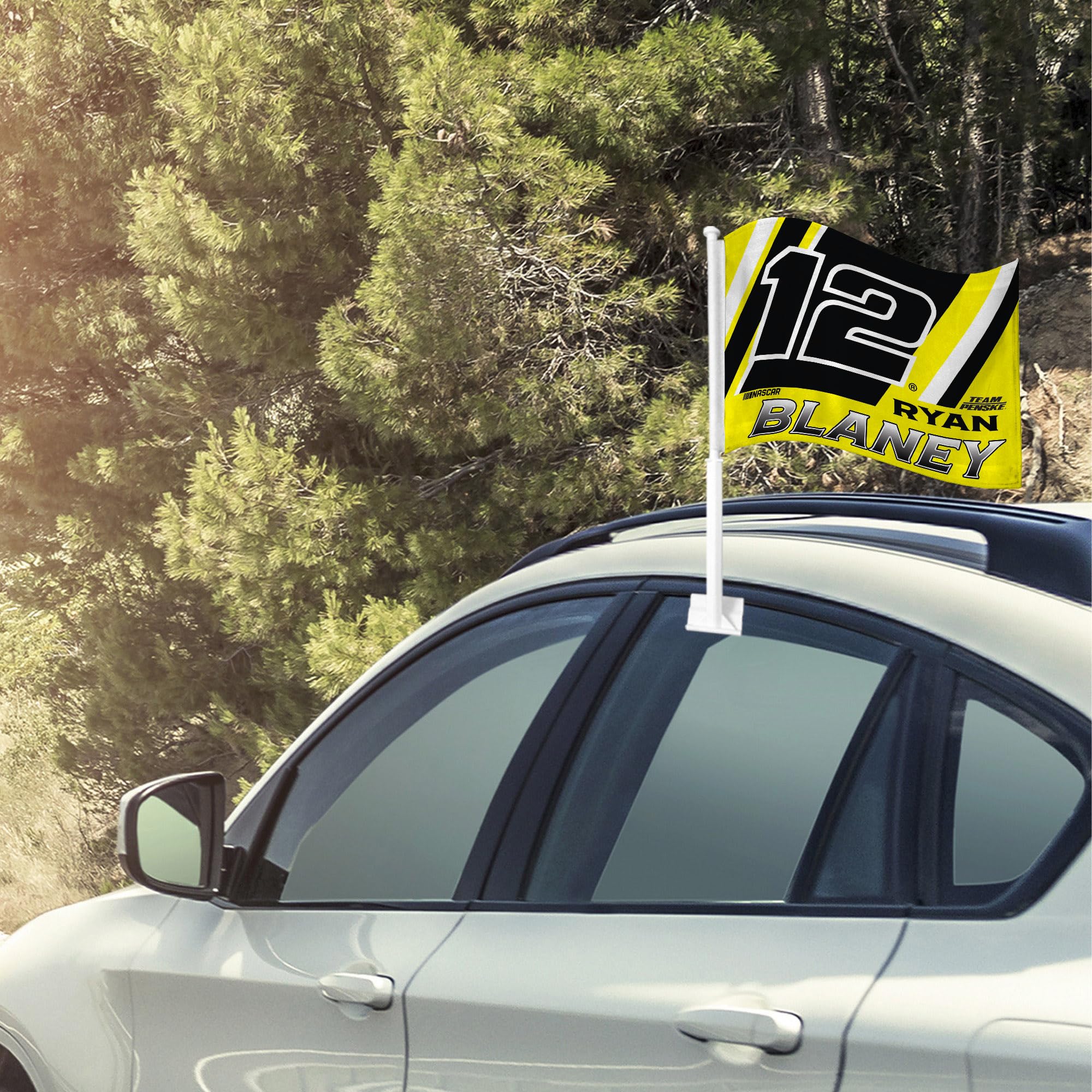 Kyle Busch Car Flag