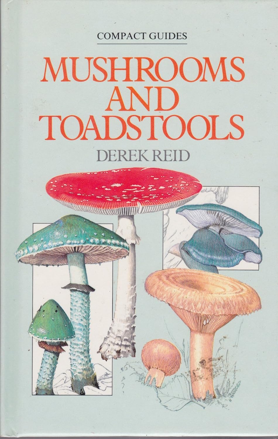 Mushrooms and toadstools: Derek Reid: 9781871745344: Amazon.com: Books