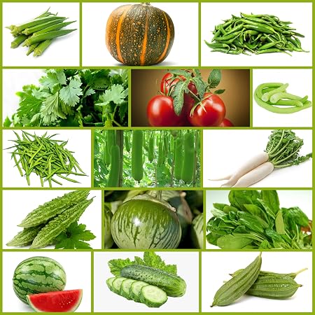 ONLY FOR ORGANIC 45 Variety Of Vegetable Seeds With Instruction Manual ...