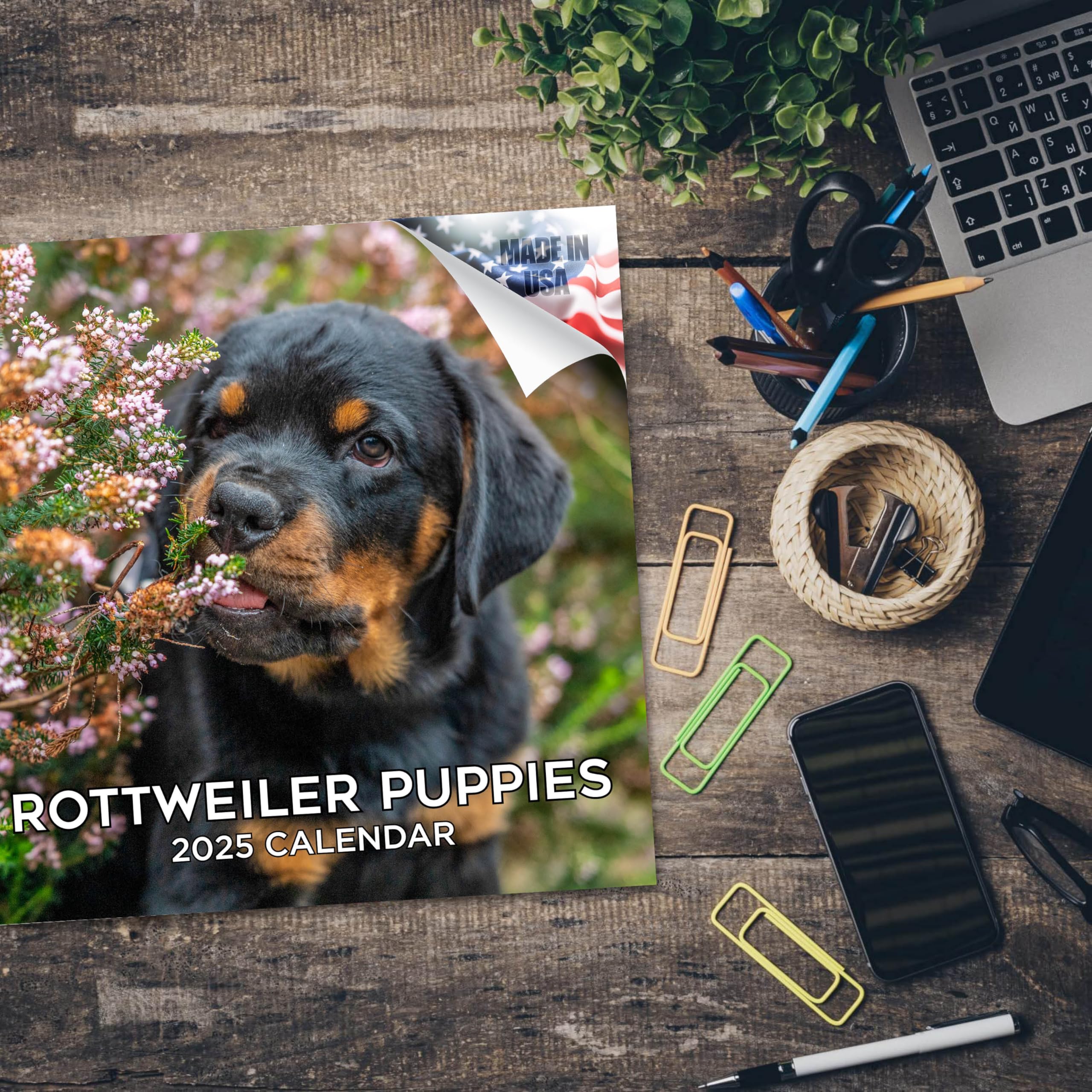Snapklik.com : 2024 2025 Rottweiler Puppies Calendar - Dog Breed ...