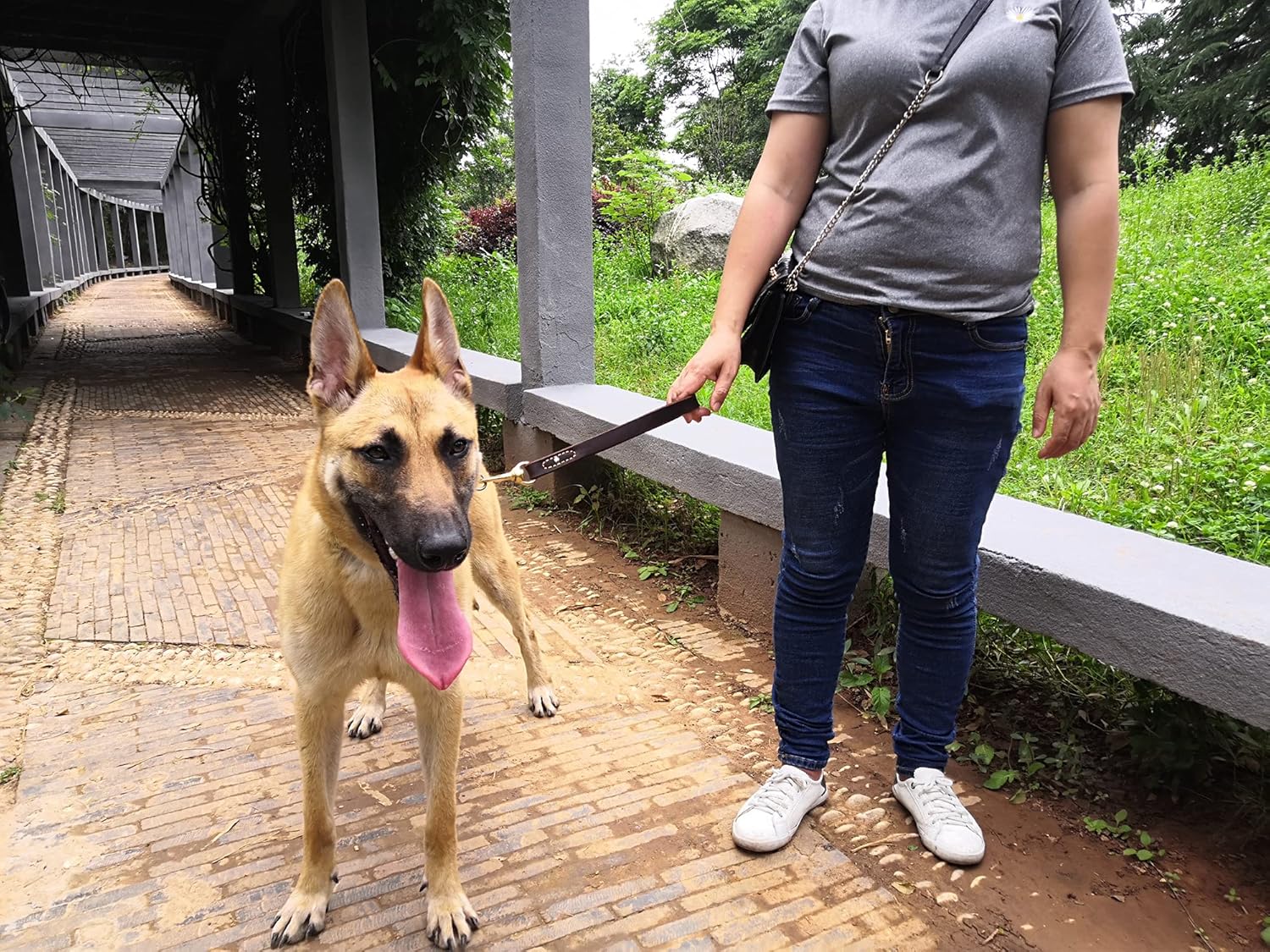 kgt Braided Genuine Leather Dog Short Leash Walking Training for Large ...