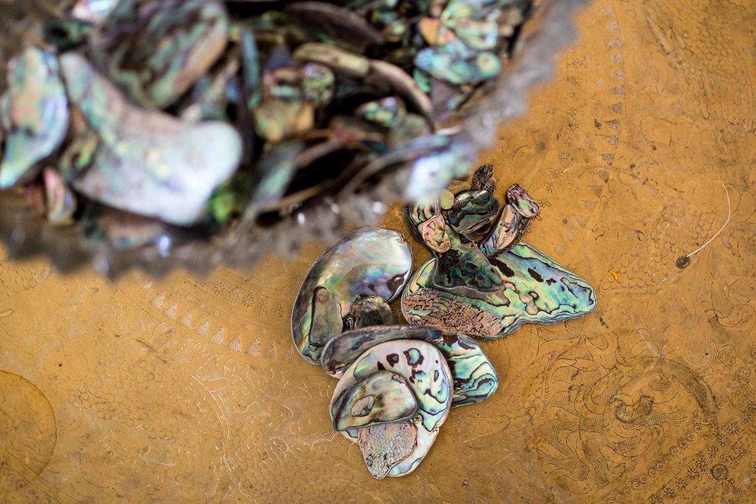 Amazon.com: PAUA (Abalone) Shell Pieces Satin for Beach Theme Party ...