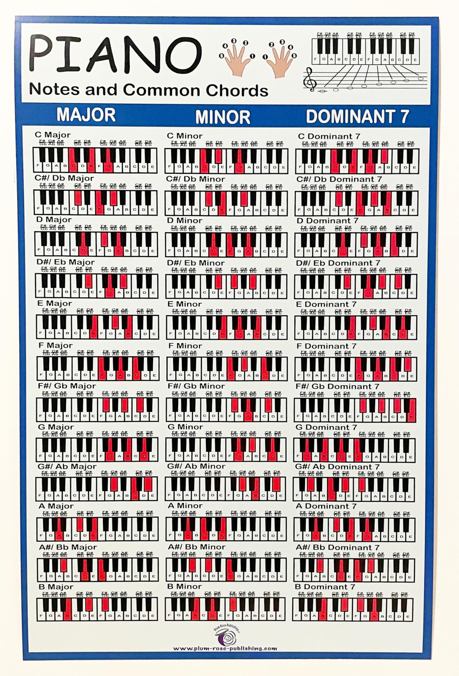 Amazon.com: PLUM ROSE Music Notes Chords Chart - 11" x 17" Piano Notes ...