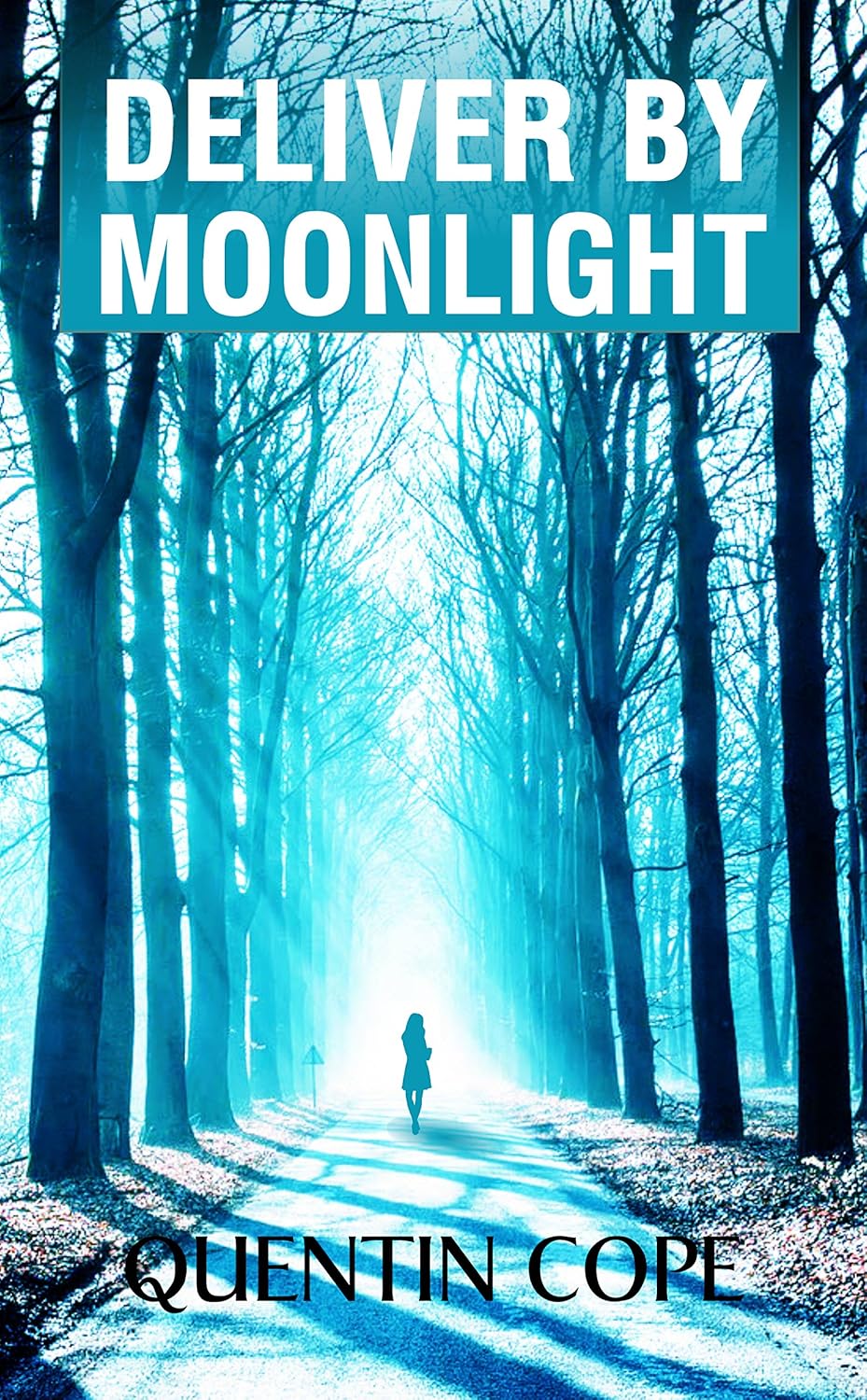 Deliver by Moonlight - Kindle edition by Cope, Quentin. Literature ...
