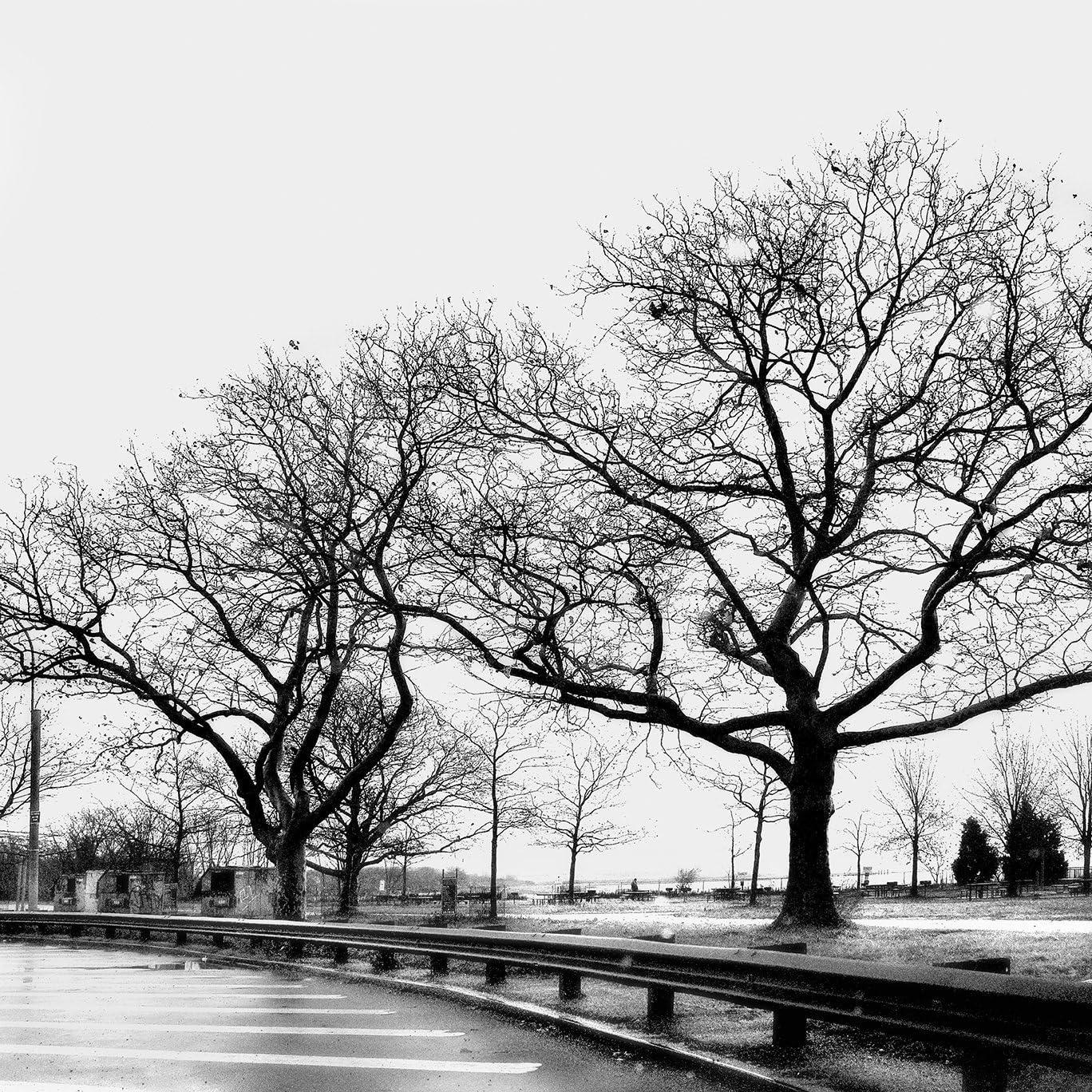 Amazon.com: Parking Lot Morning Art Print by Harold Silverman: Posters ...