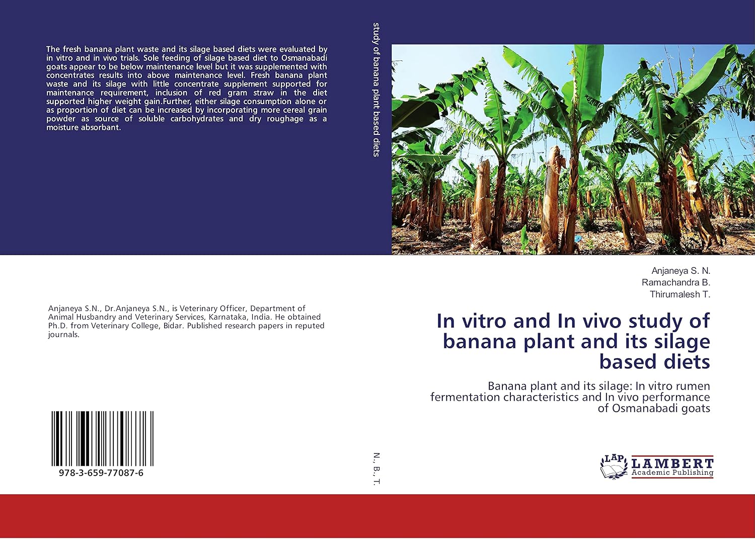 In vitro and In vivo study of banana plant and its silage based diets ...