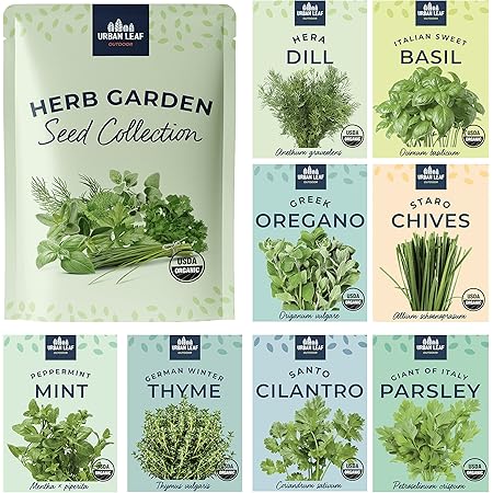 Amazon.com : Seed Needs, Culinary Herb Seed Packet Collection (12 ...