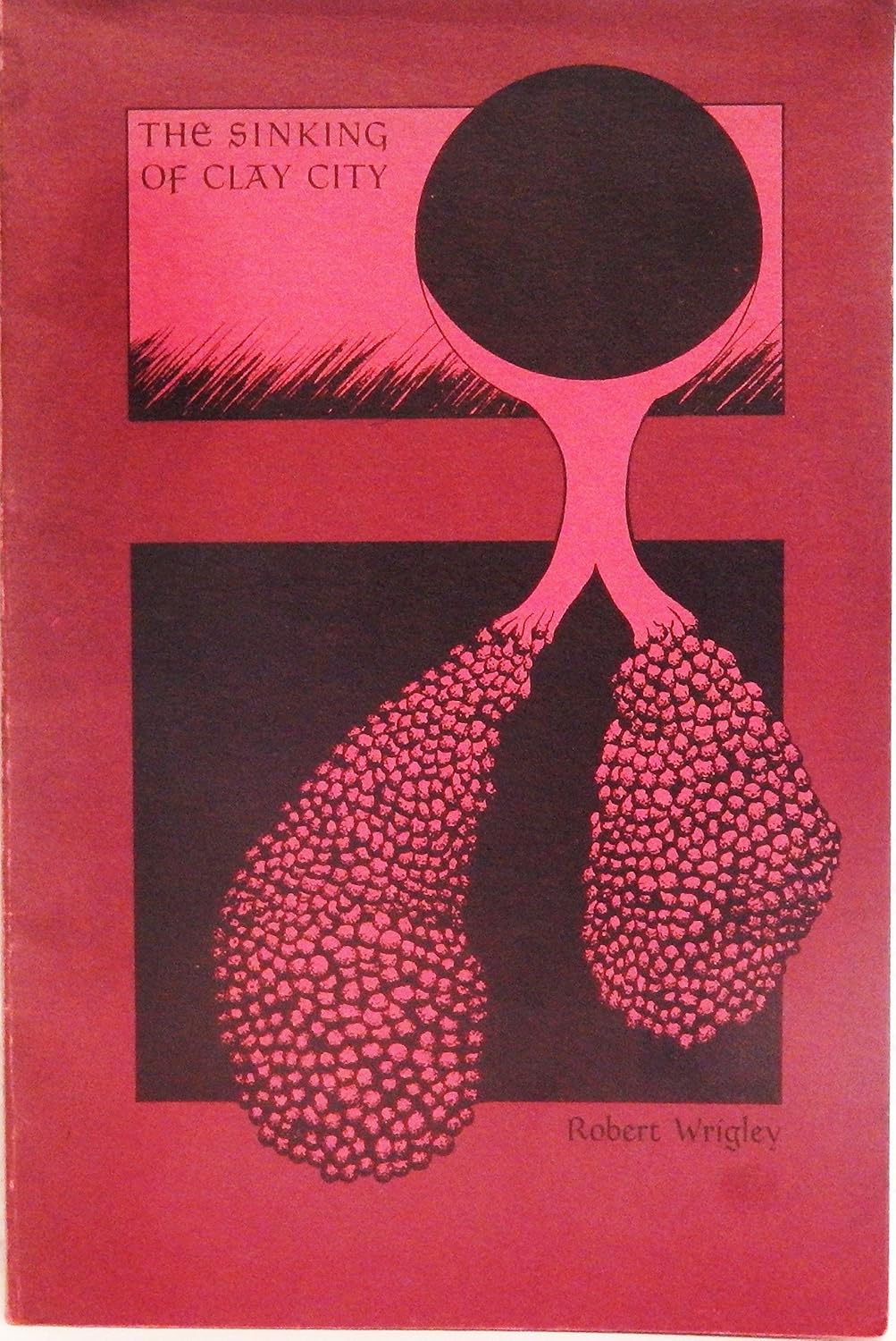 Sinking Of Clay City: Wrigley, Robert: 9780914742425: Amazon.com: Books