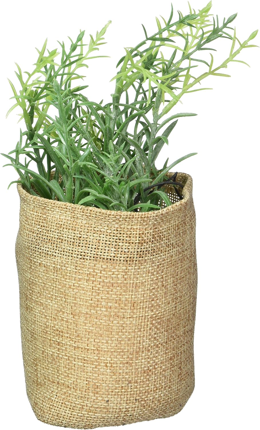 Amazon.com: Blossom Bucket Rosemary in Flax Bag, 5" x 5.50" : Home ...