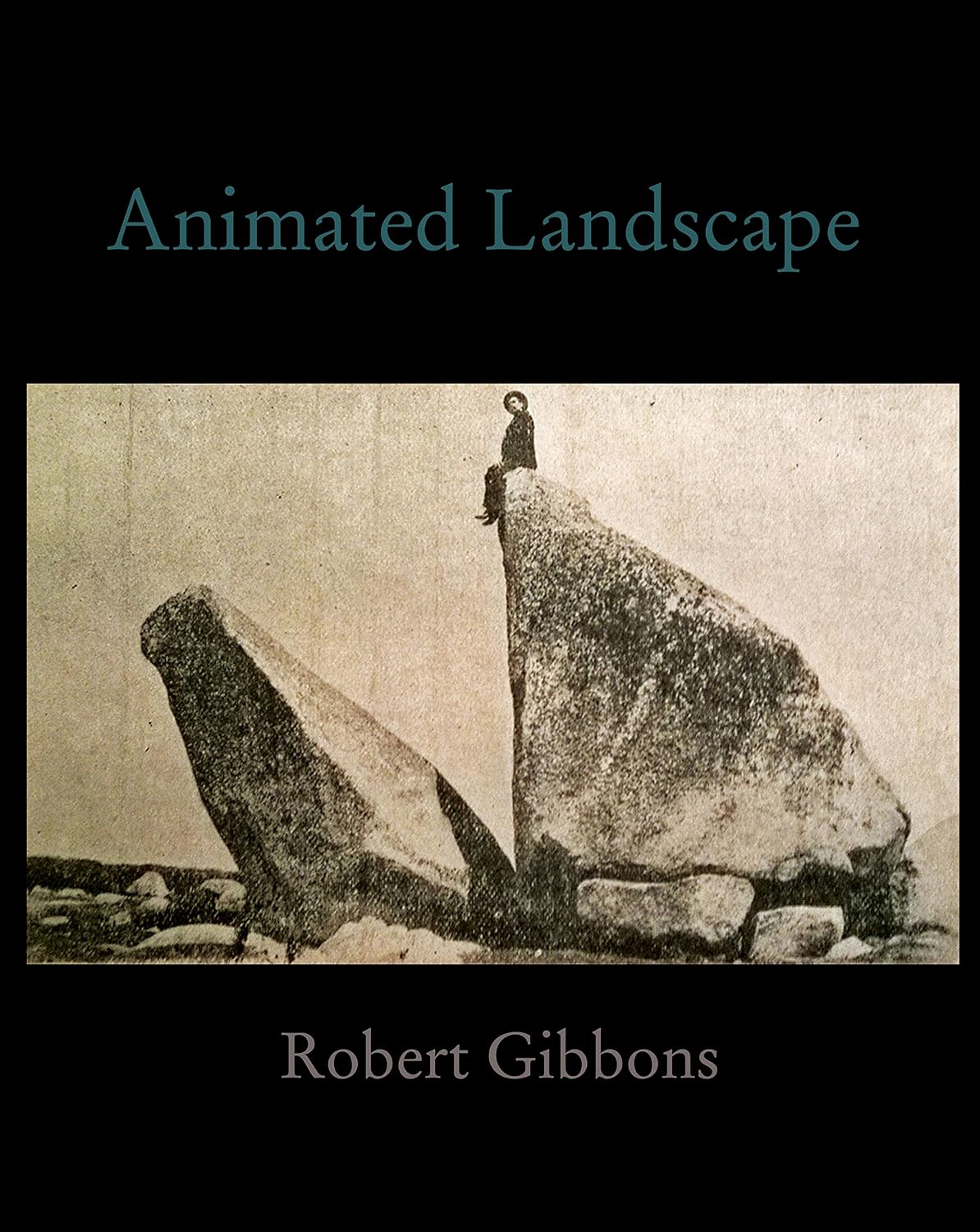 Animated Landscape: Gibbons, Robert: 9781609642570: Amazon.com: Books