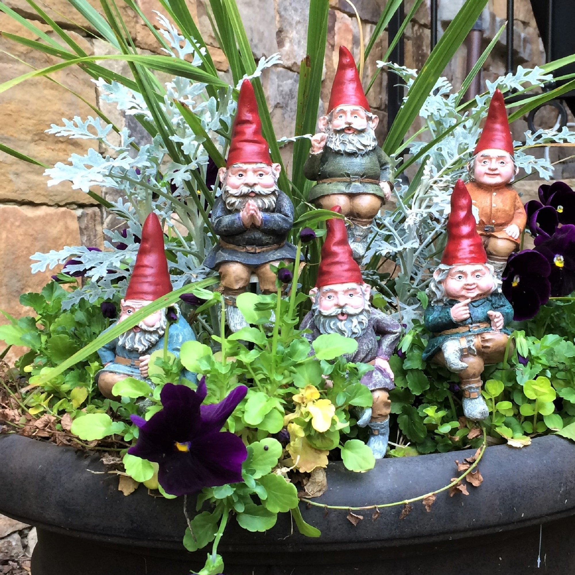 Amazon.com : Gnomes of Toad Hollow - Classic Garden Gnome 6" H Shelf ...