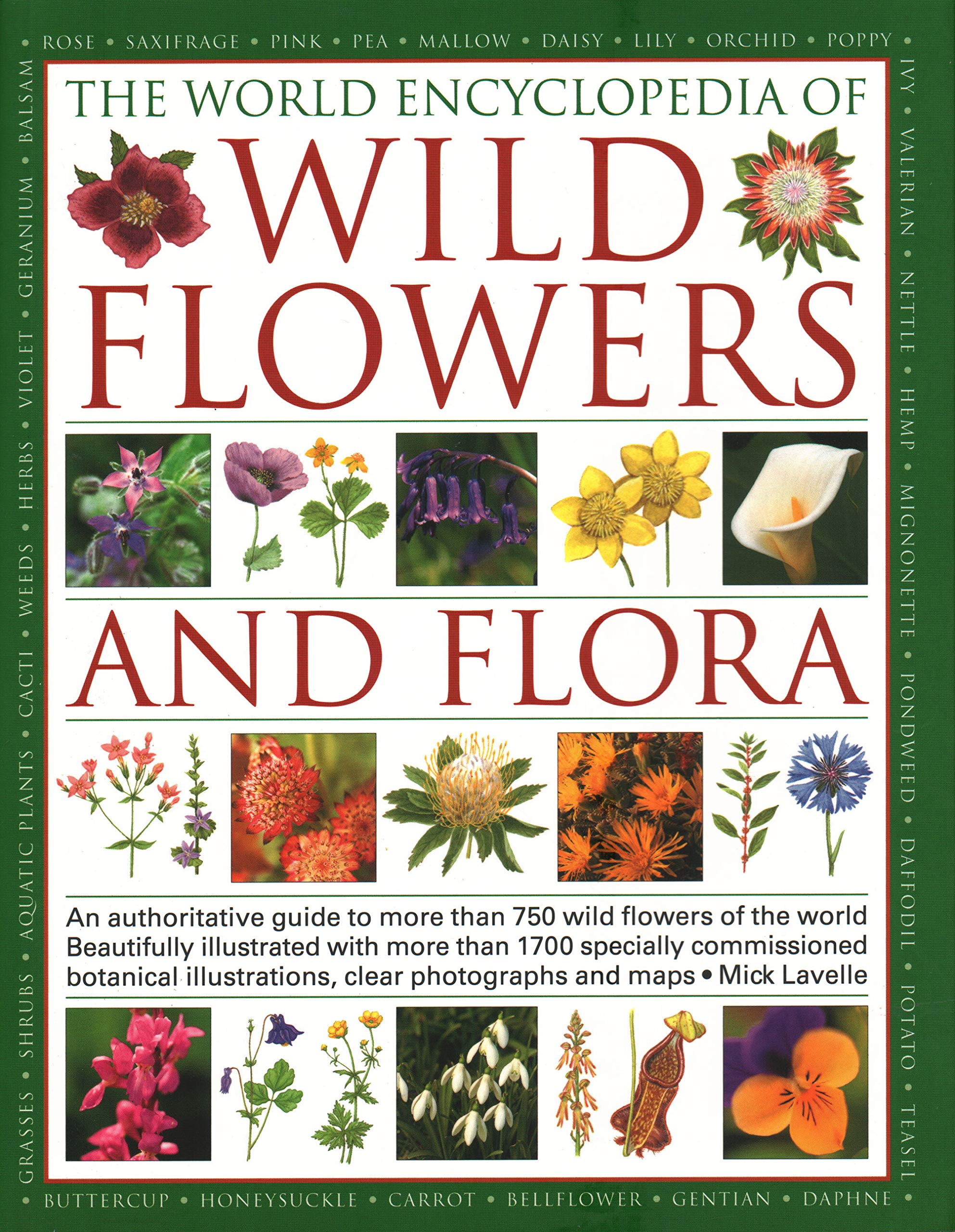 Wild Flowers & Flora, The World Encyclopedia of: An authoritative guide ...