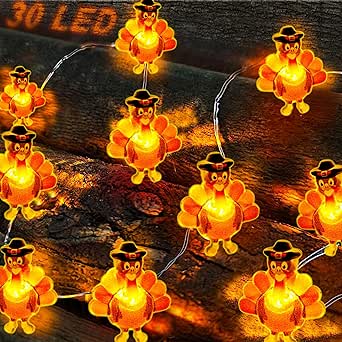 Amazon.com: 30LED/10Ft Thanksgiving Decorations Turkey Lights with ...