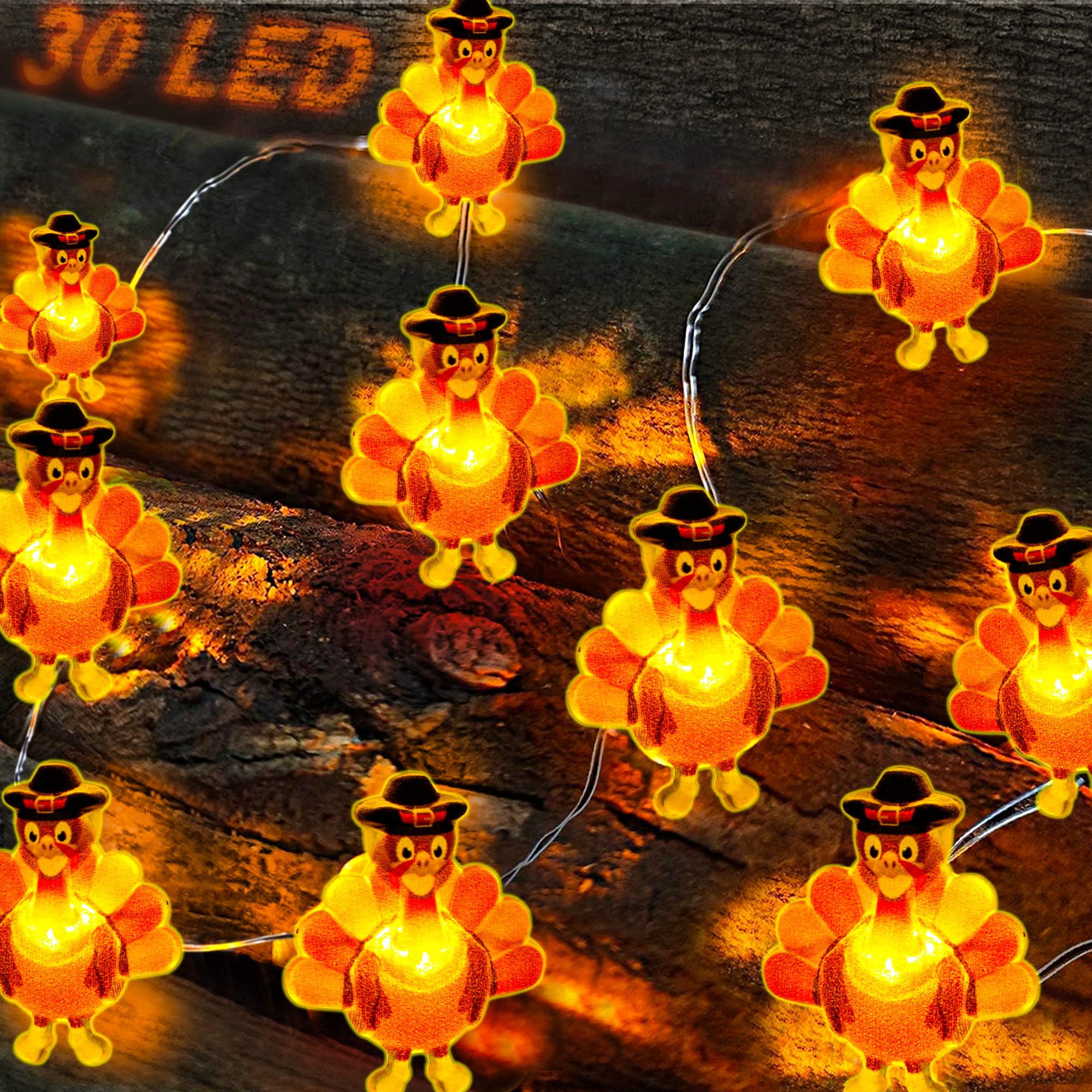 Amazon.com: 30LED/10Ft Thanksgiving Decorations Turkey Lights with ...