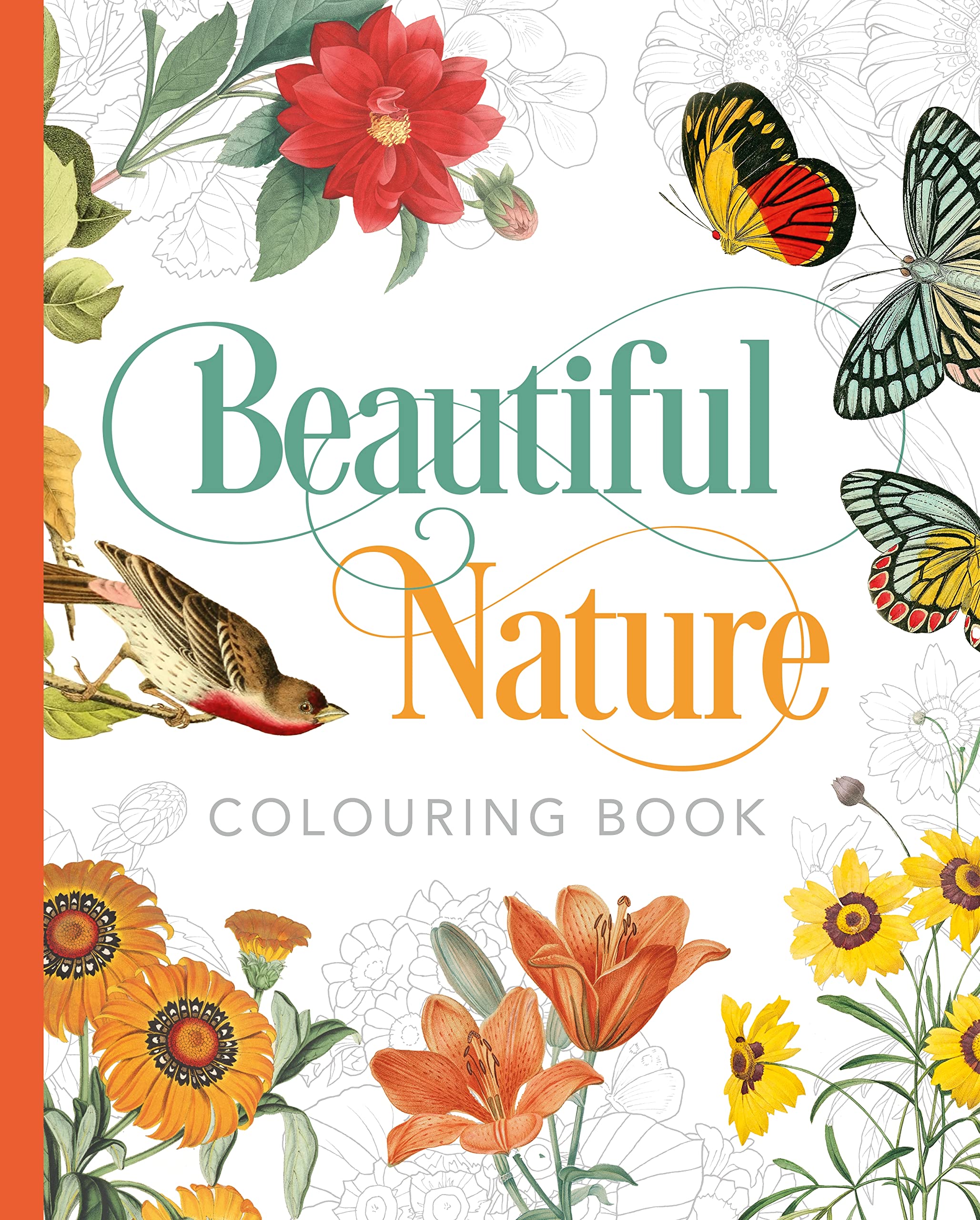Beautiful Nature Colouring Book (Arcturus Classic Nature Colouring ...