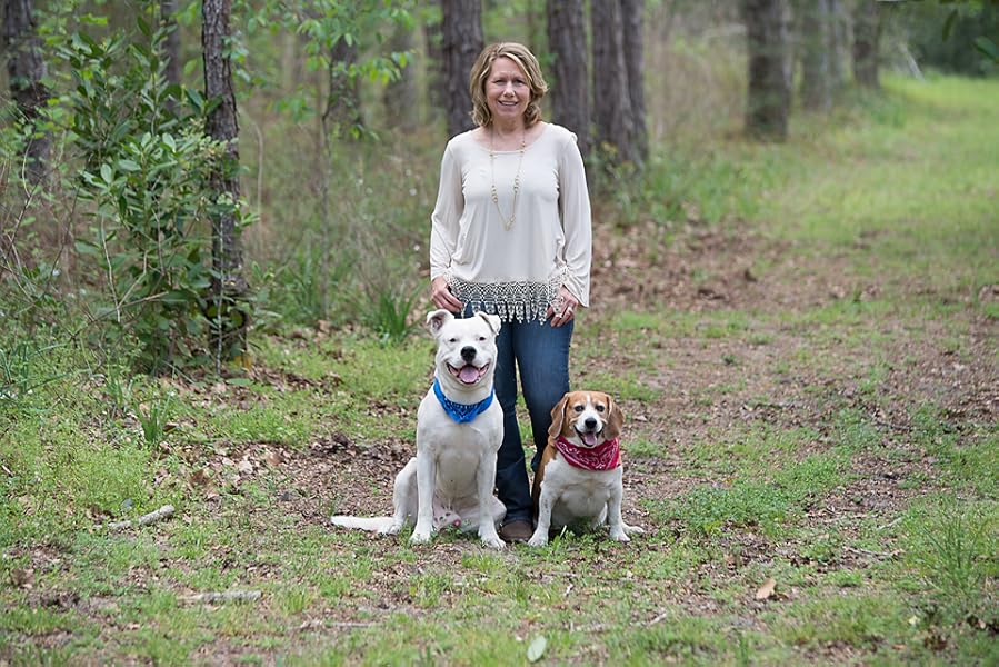Storm in Stone County (The Cowboy Ranch): Stone, Kim Anderson, Boone ...