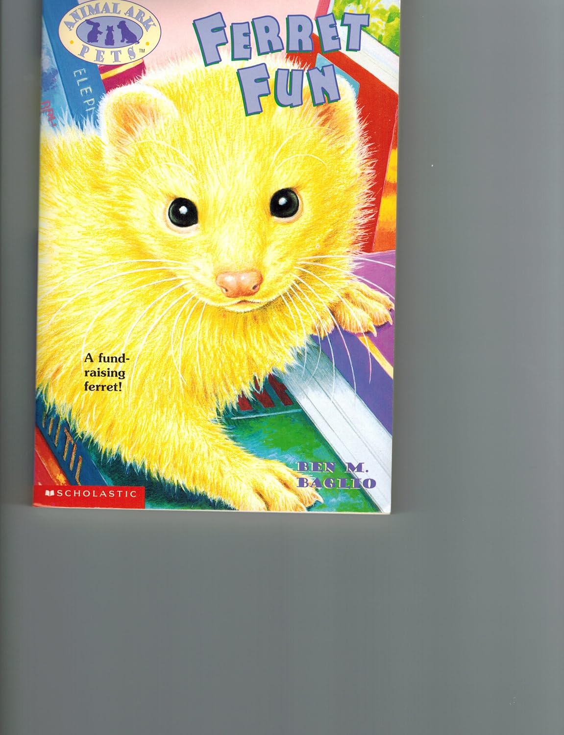 Animal Ark Pets 14, Ferret Fun: Ben M. Baglio: Amazon.com: Books