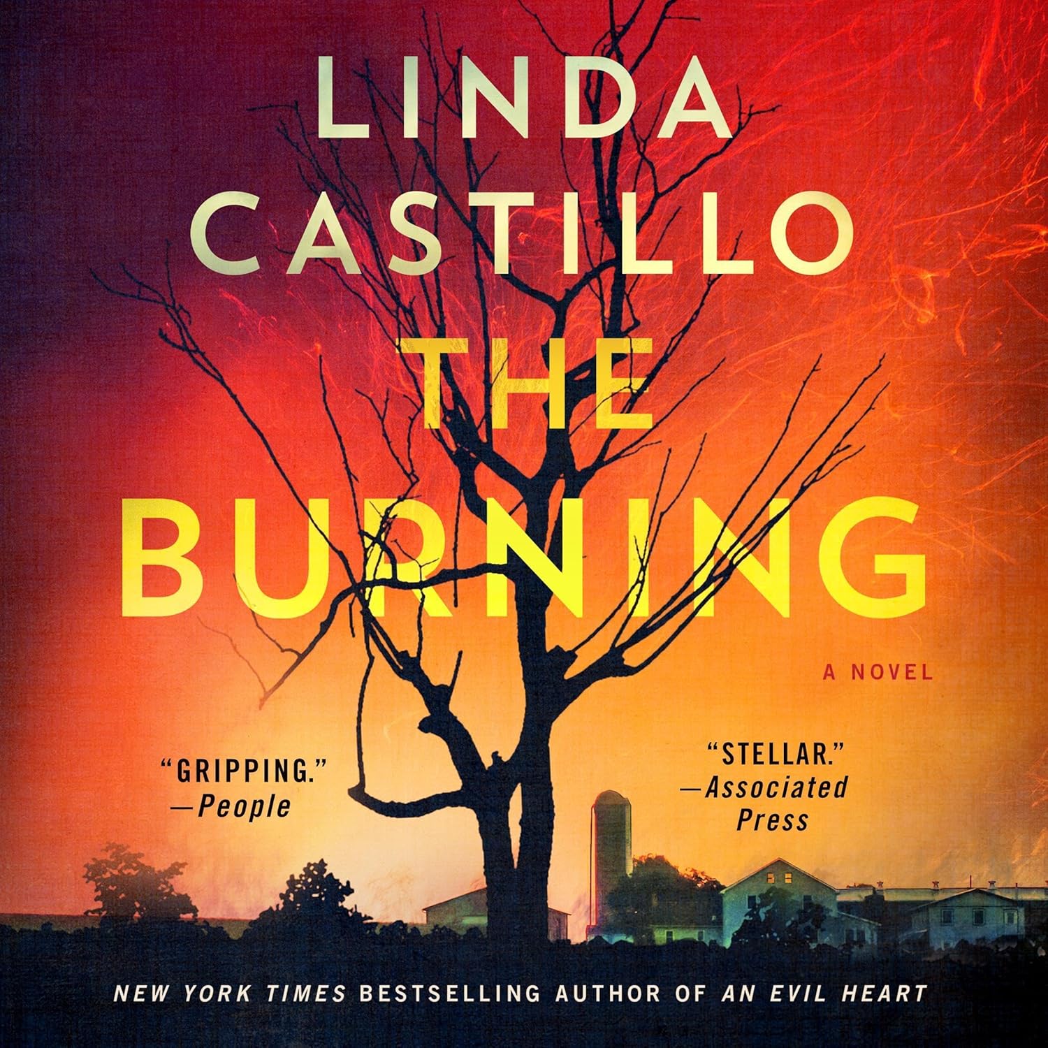 Amazon.com: The Burning: Kate Burkholder, Book 16 (Audible Audio ...