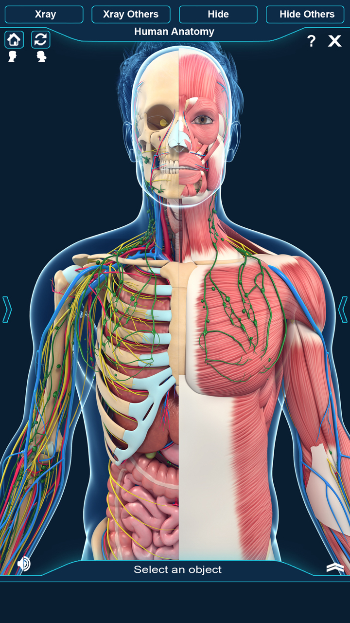 Human Anatomy - App on Amazon Appstore