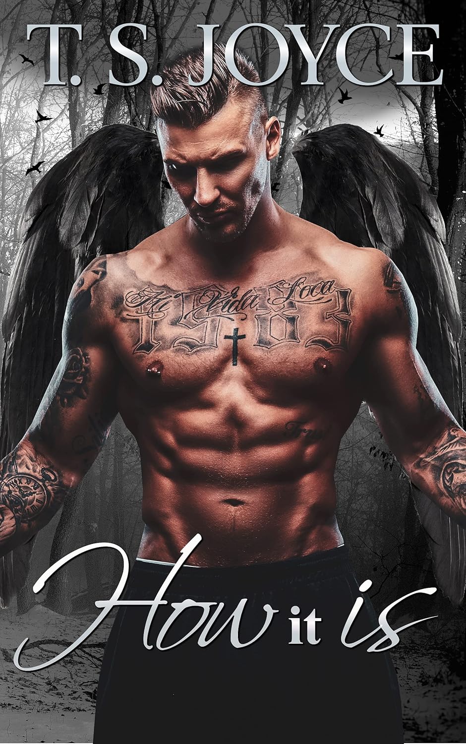 Amazon.com: How It Is (Oath of Bane Book 4) eBook : Joyce, T. S ...