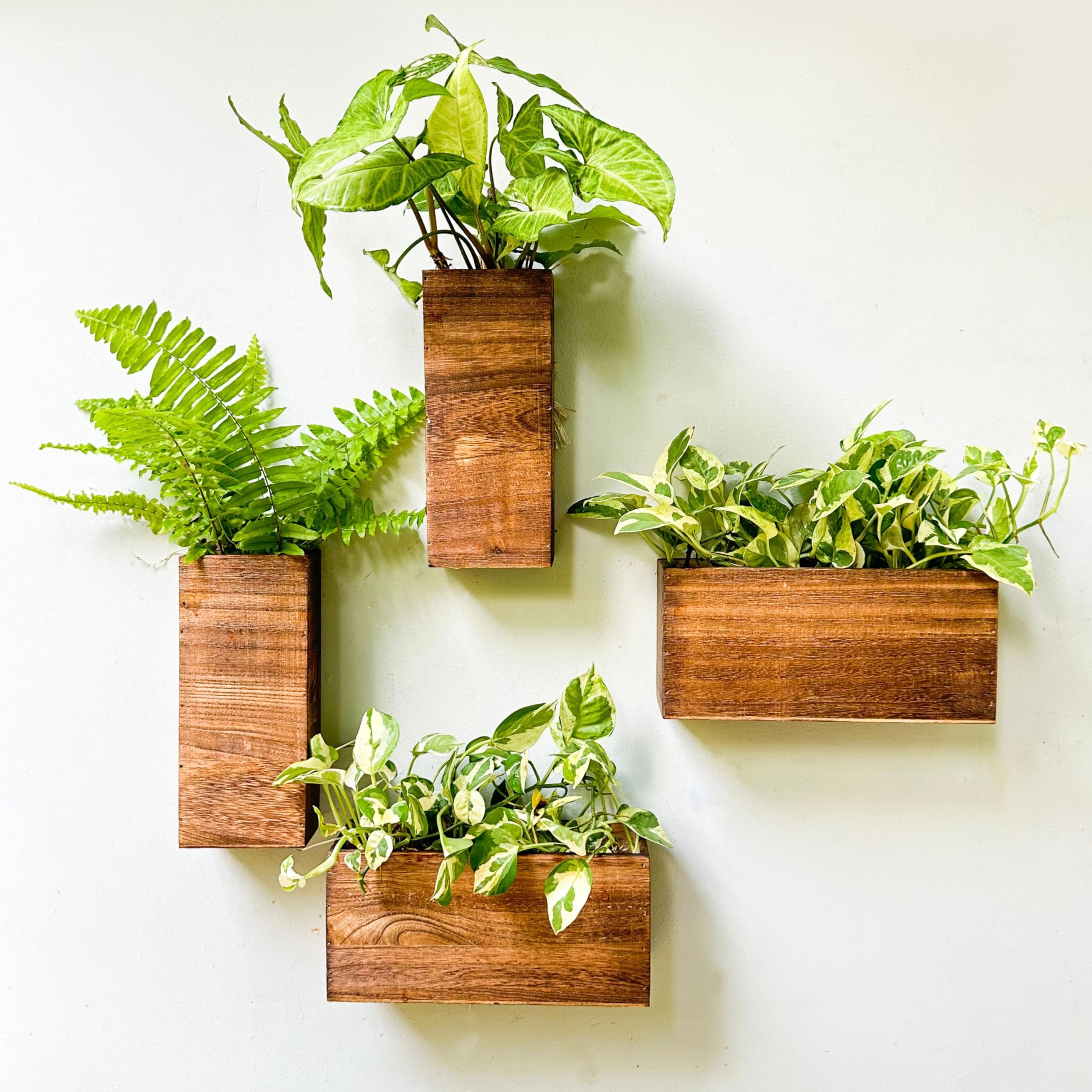 Amazon.com : LaLaGreen Wood Planter Box for Plants (4 Pack) Wooden ...