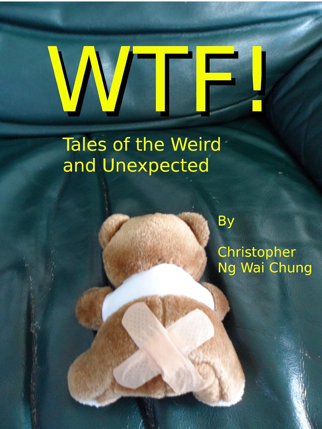 Amazon.com: WTF ! Tales of the Weird and Unexpected (WTF Series Book 1 ...