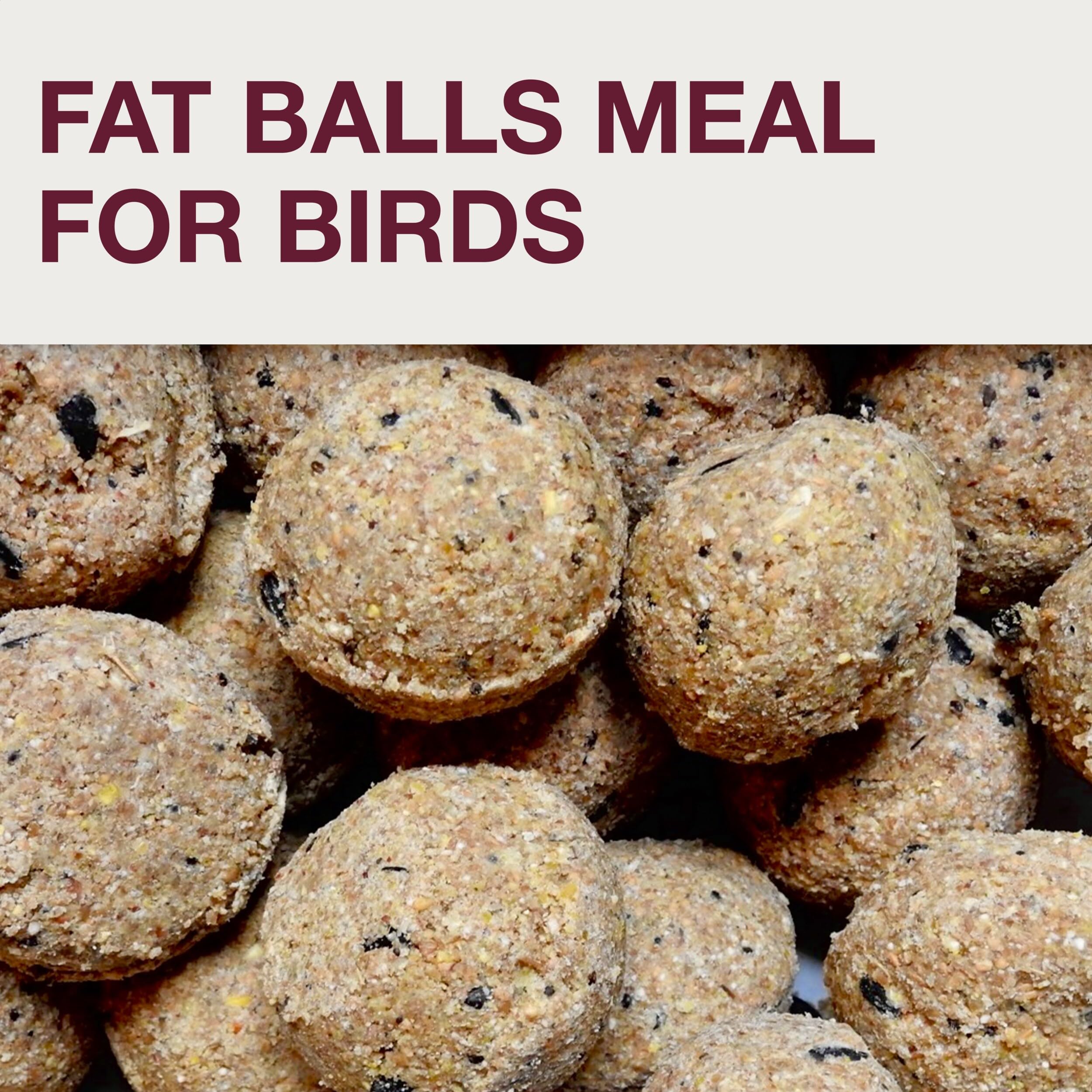 Snapklik.com : SWISSINNO No Mess Bird Feeder Lucerne Smart Birds For ...