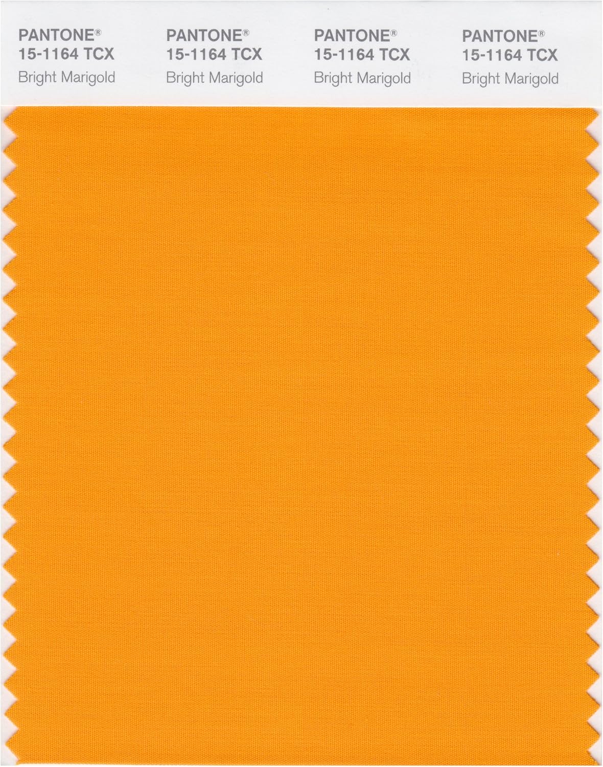 PANTONE Smart 15-1164X Color Swatch Card, Bright Marigold - House Paint ...