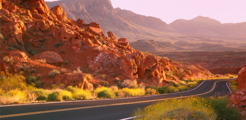 Nevada Local News:Amazon.com:Appstore for Android