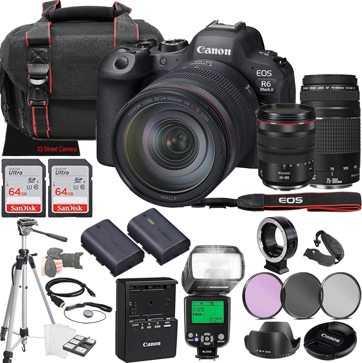 Amazon.com : Canon EOS R6 Mark II Mirrorless Camera w/RF 24-105mm f/4 L ...