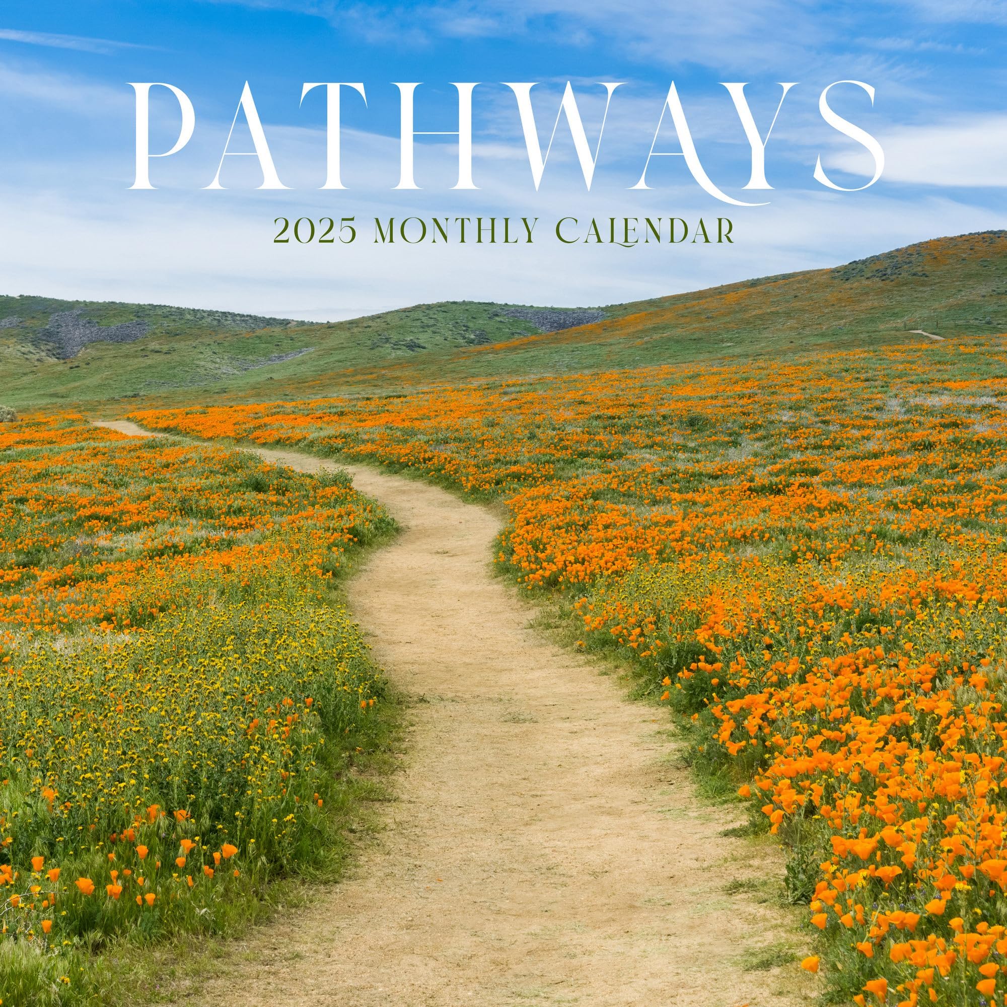 Amazon.com: Pathways Calendar 2025 | 12" x 24" Scenic Paths 12 Month ...