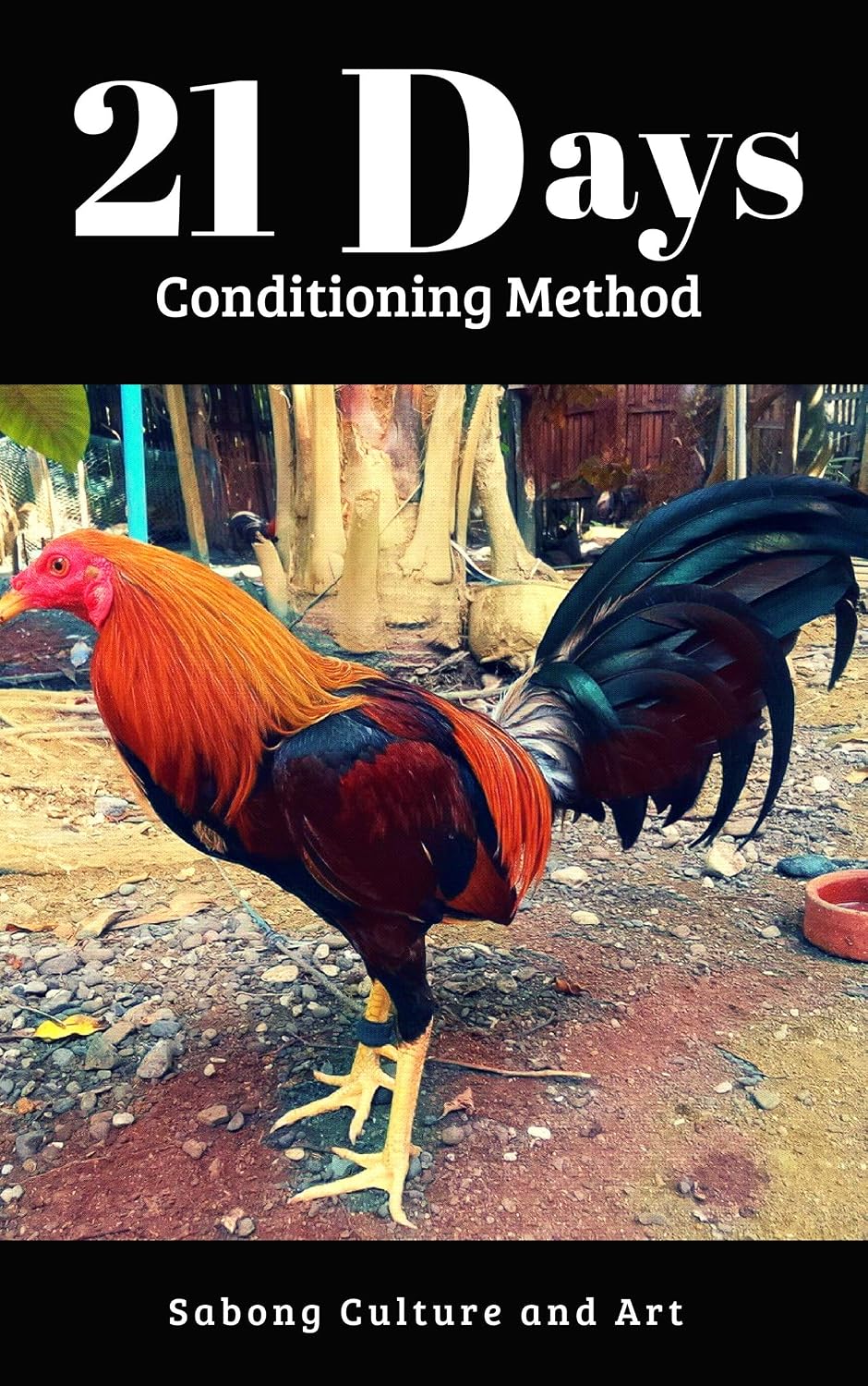 Amazon.com: 21 Days Conditioning Method eBook : and Art, Sabong Culture ...